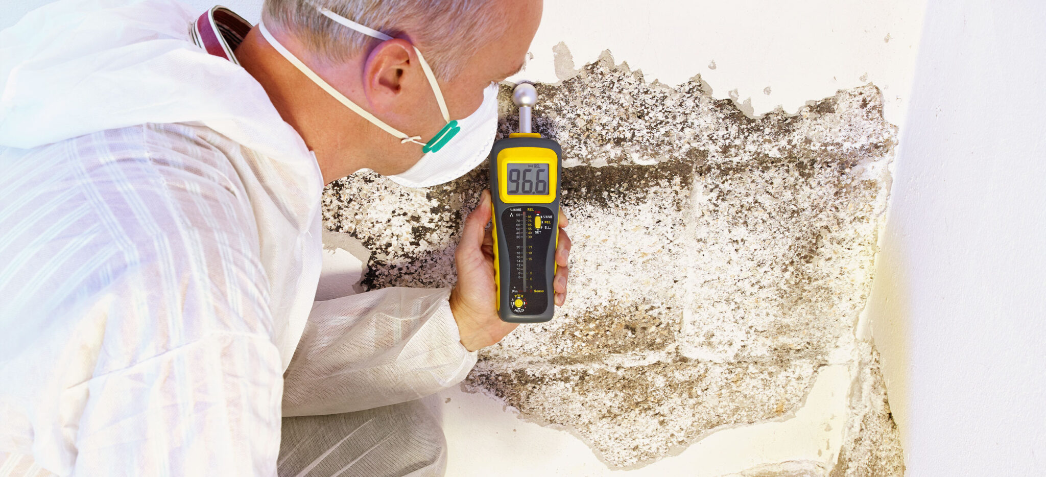 Professional Mold Inspection – Risk Prevention | SOS Sinistres